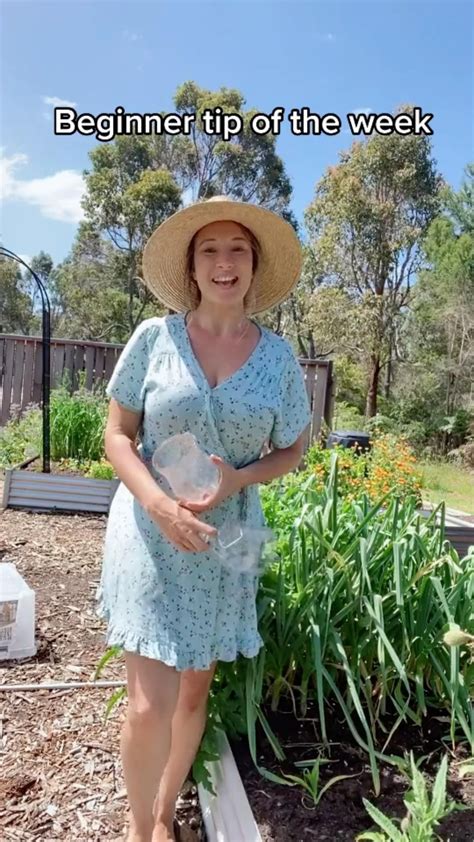 Composting Basics Artofit Composting Basics Artofit