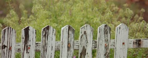 Bookstack Security Release V23123 Update Advised Where Untrusted Users Have Permission To