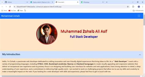 muhammad zohaib ali asif on linkedin webdeveloment protfolio