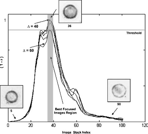Figure 3 From Fast Autofocus Algorithm For Automated Microscopes