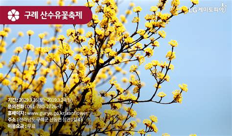 봄을 알리는 화사한 꽃들의 향연 2019 봄꽃 축제를 소개합니다