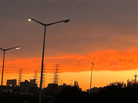 金渐层？路过紫禁城的红色晚霞 爱情的纹理 Warn的个人代码与故事分享博客