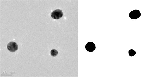 Figure 23 From Self Assembly Of Nanoparticle Surfactants Semantic Scholar
