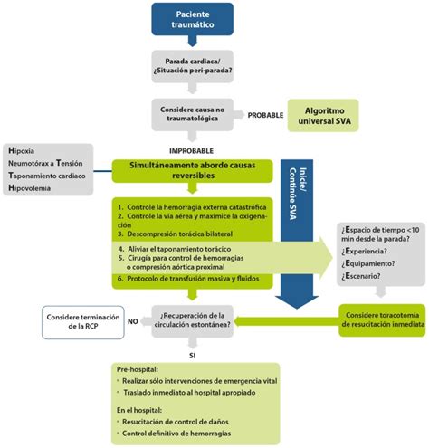 Tema 5 Sva Algoritmos De ActuaciÓn