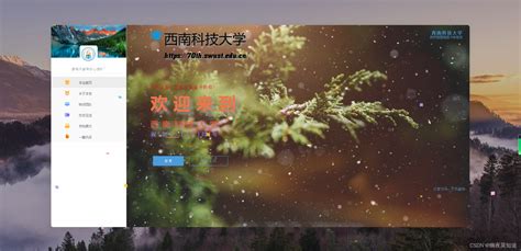 一个炫酷的学院（个人）展示页个人专栏展示 Csdn博客