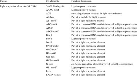 Function Descriptions Of All Identified Cis Regulatory Elements