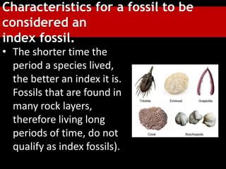 Quarter 4 Week 7 Defining And Identifying Subdivisions Of Geologic Time Scale Using Index Fossil