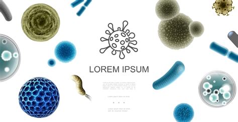 바이러스와 박테리아 세트 무료 벡터