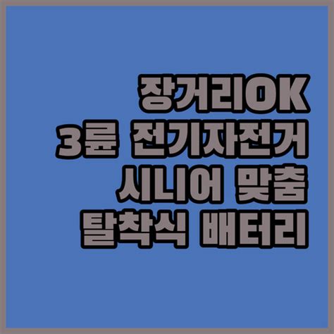 장거리도 문제없는 성인용 3륜 전기 자전거 시니어 맞춤형 배터리 탈착식