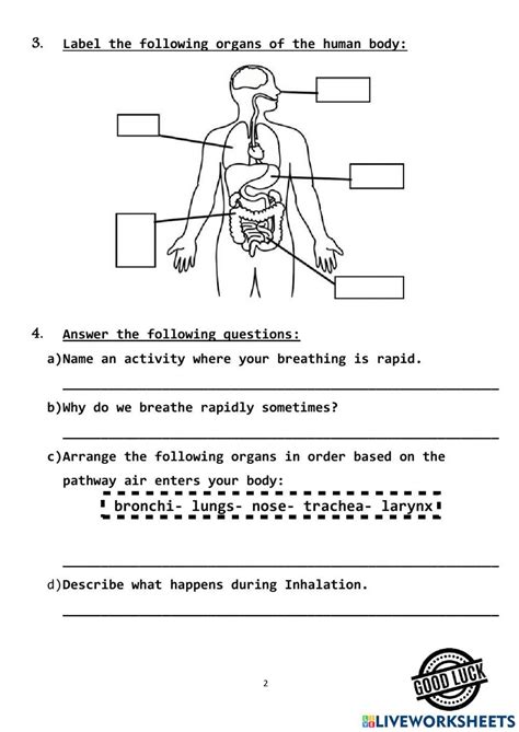 Science Quiz Online Exercise For Three Live Worksheets