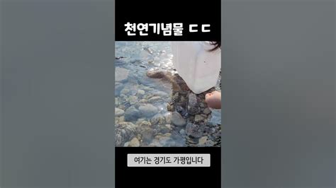 평생동안 한 번도 보기 힘든 물고기 Youtube