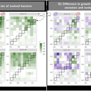 Heat Maps Of Raw Data For R And R A Heat Map Of Growth Rates R Download Scientific Diagram