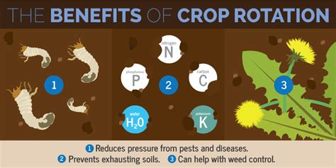 Crop Rotation