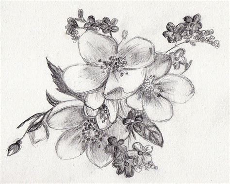 Summer Flowers Drawing At Explore Collection Of