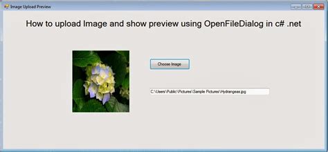 Aspnet Cloud How To Uploaddisplay Image In Picture Box Using Openfiledialog In C Net