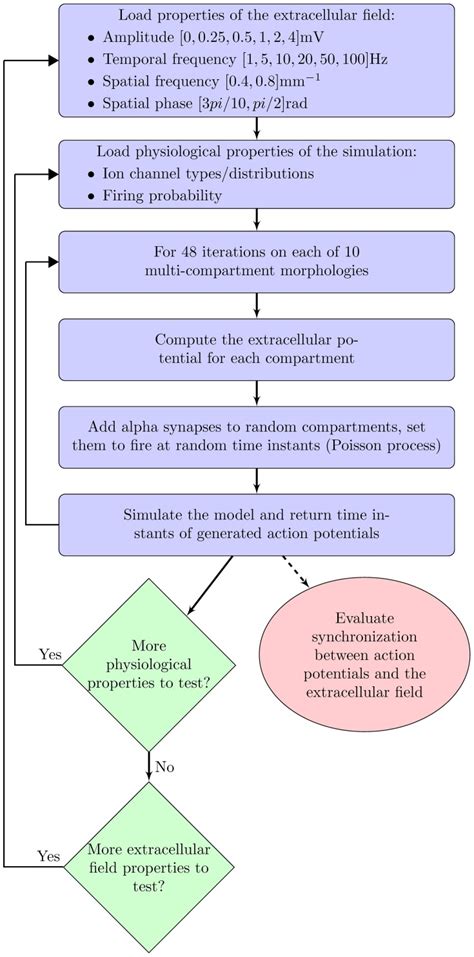Flowchart Of The Computational Model Download Scientific Diagram