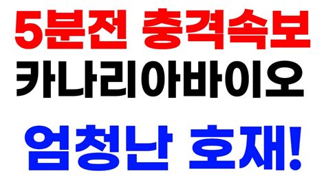카나리아바이오 16 무상증자터졌다 무조건 내일 3시까지 매수하라 내일 당장 사세요 아침 시초가 부터 10연상 터진다