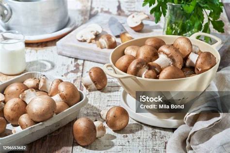 원시 버섯 포르토벨로 샴페인 지속 가능한 퇴비 포장 나무 배경에 텍스트 공간 단계 레시피 개념에 의해 단계 유기농 천연 재료 제로 폐기물 농산물 시장 갈색에 대한 스톡 사진