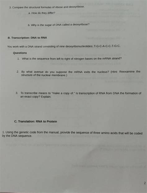 Solved LAB REPORT NUCLEIC ACIDS A Nucleic Acid Chegg