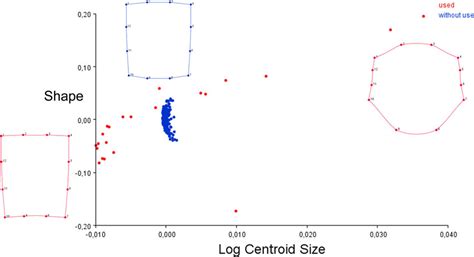 regression of shape on size red shapes to the end of regression