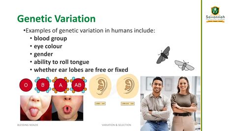 Variation And Natural Selection Igcse Biology Pdf