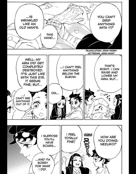 Kimetsu No Yaiba Manga 204 Arc Anime Amino