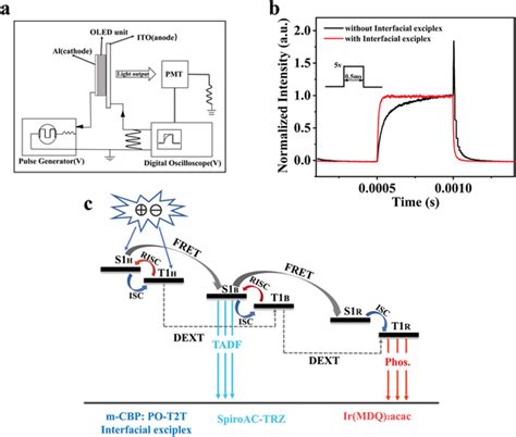 A Schematic Diagram Of Transient Electroluminescence Test Experimental Download Scientific