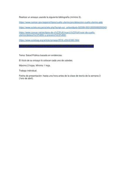 Ensayo Mafer Mena Ponce Udocz