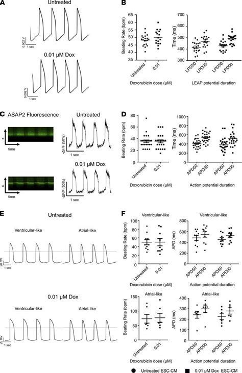 JCI Insight Method For Selective Ablation Of Undifferentiated Human Pluripotent Stem Cell