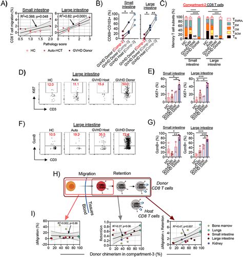 Spatiotemporal Single Cell Profiling Reveals That Invasive And Tissue Resident Memory Donor CD