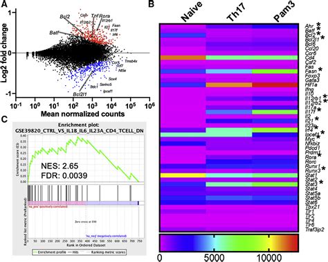 Toll Like Receptor 2 Induces Pathogenicity In Th17 Cells And Reveals A