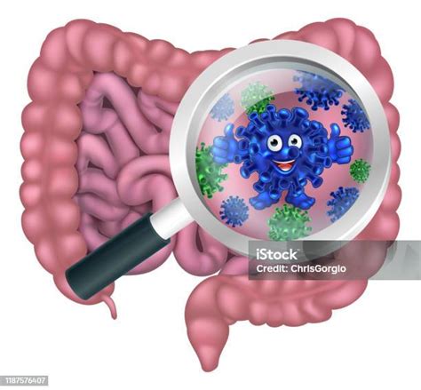창자 또는 창자에 있는 박테리아 만화 캐릭터 장내 세균총에 대한 스톡 벡터 아트 및 기타 이미지 장내 세균총 건강한 생활