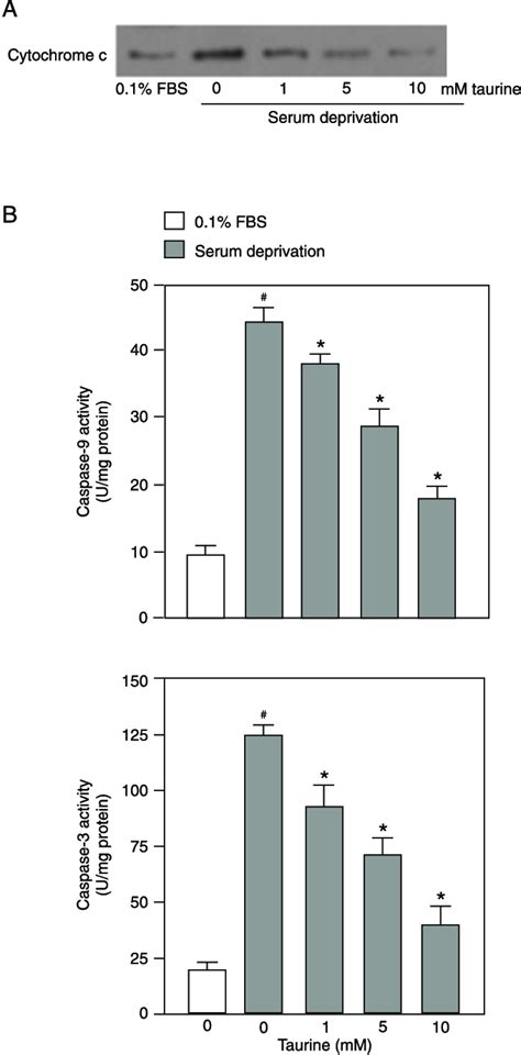 Effects Of Taurine On Cytochrome C Release And Caspase 3 And 9 Download Scientific Diagram