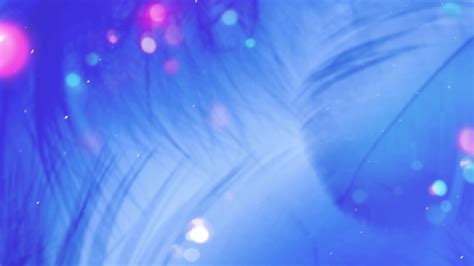 Bokeh Blue Particle Background Loop Animation 35550212 Stock Video At