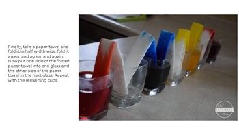 Capillary Action Experiment By Kempter Classroom TPT