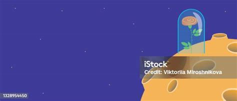 책 캐릭터 어린 왕자 장미 복사 공간 템플릿 디자인의 배경으로 꽃과 밤 하늘플랫 벡터 스톡 일러스트 작은에 대한 스톡 벡터 아트 및 기타 이미지 Istock