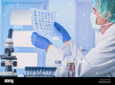 Scientist Analizing DNA Sequence In The Modern Laboratory Stock Photo Alamy