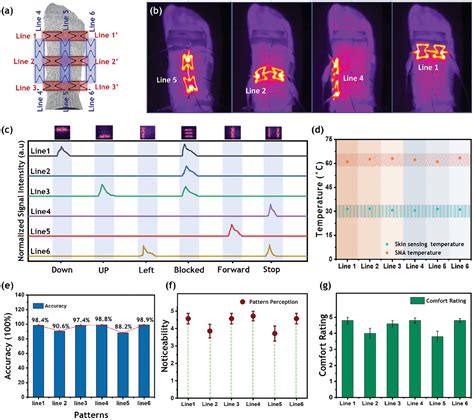 Wearable Haptics For Orthotropic Actuation Based On Perpendicularly Nested Auxetic Sma Knotting