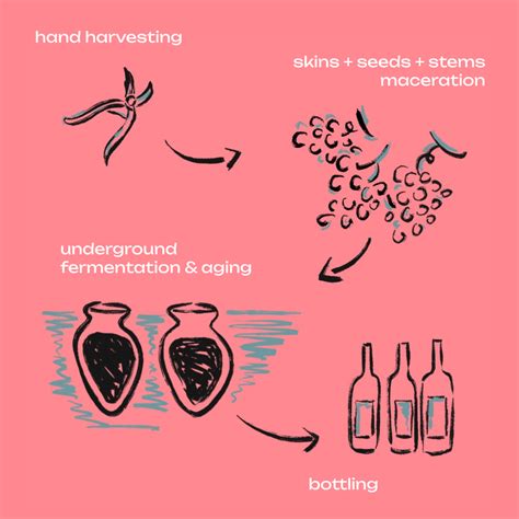 What Are Georgian Qvevri Culture Wine Co