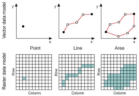 Vector Versus Raster Data