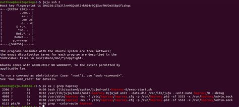 Getting Started With Juju To Deploy And Scale Software Effortlessly