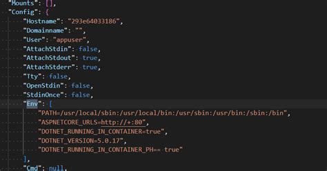 c how to use environment variables dotnet running in containers and
