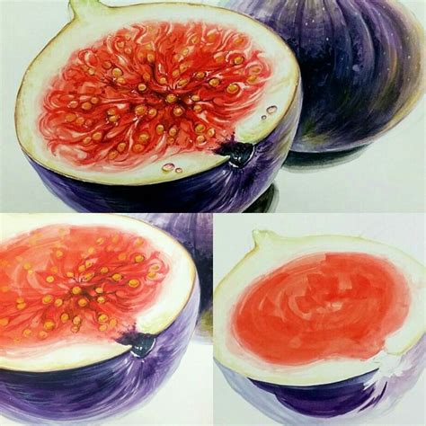 명덕창조의아침 무화과 과일 그림 디자인