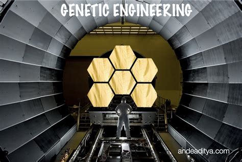 Genetic Engineering Ande Aditya Genetic Enginerering