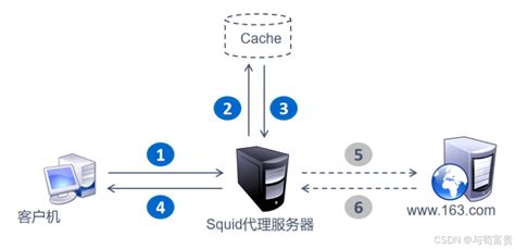squid代理服务器 csdn博客