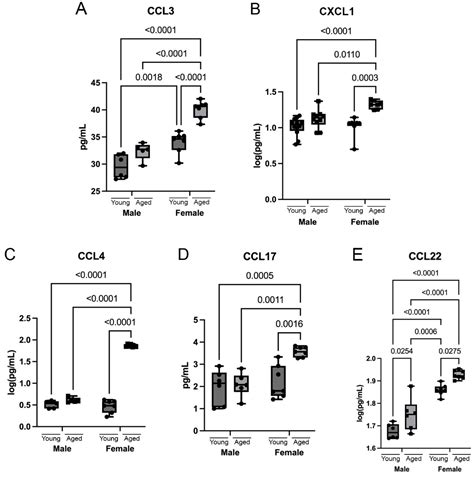 Cells Free Full Text Sex Differences In The Inflammatory Profile In The Brain Of Babe And
