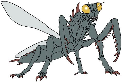 Kamacuras 2004