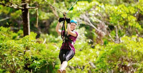 TreeTop Challenge Tamborine Mountain Book Tickets Tours GetYourGuide