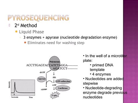 Dna Sequencing Methods Ppt