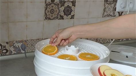 Сушилка для овощей и фруктов Великие Реки ВР-5. Бюджетно, бесшумно и ...